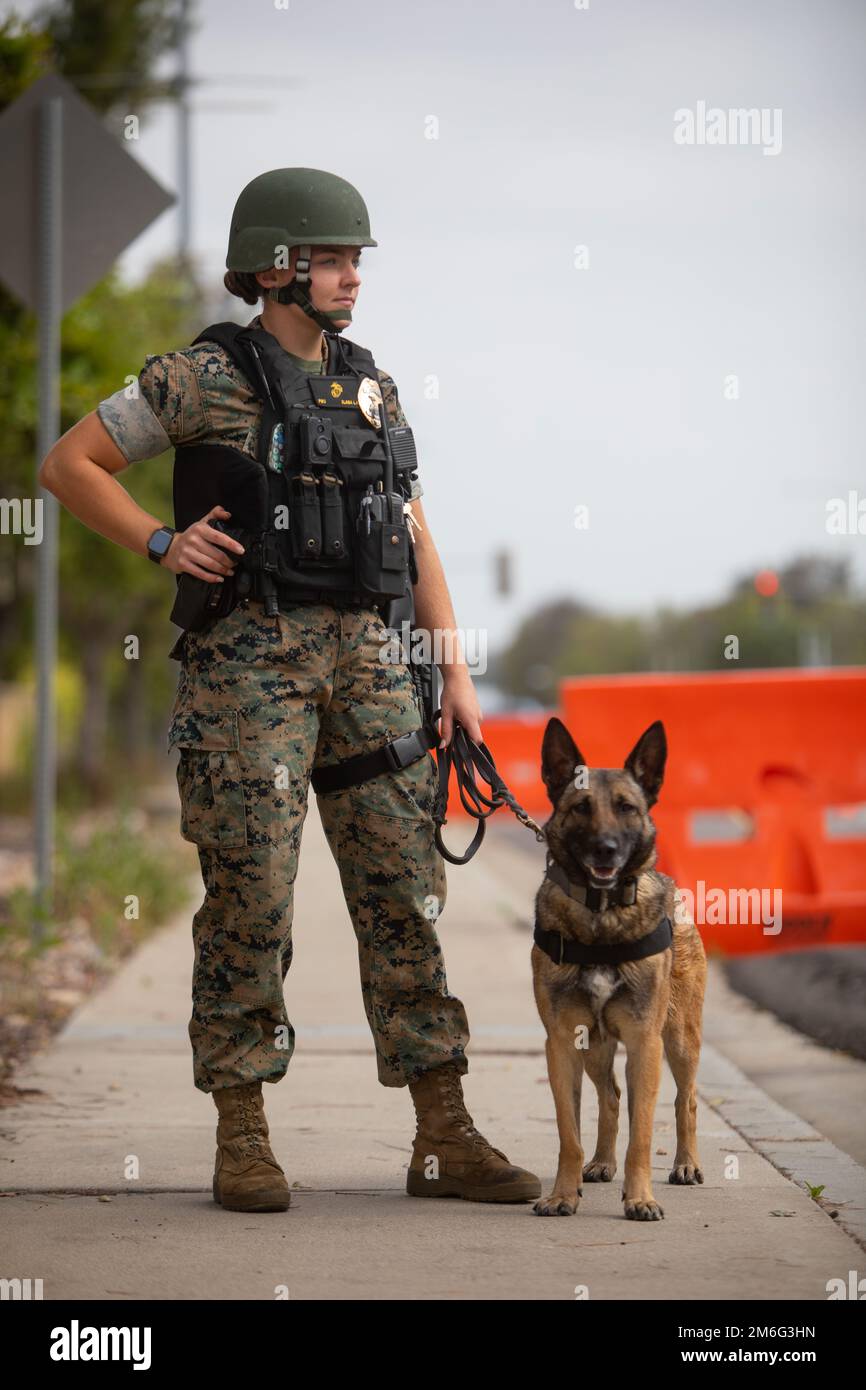 U.S. Marine Corps Cpl. Lydia Slama, a military working dog handler with ...