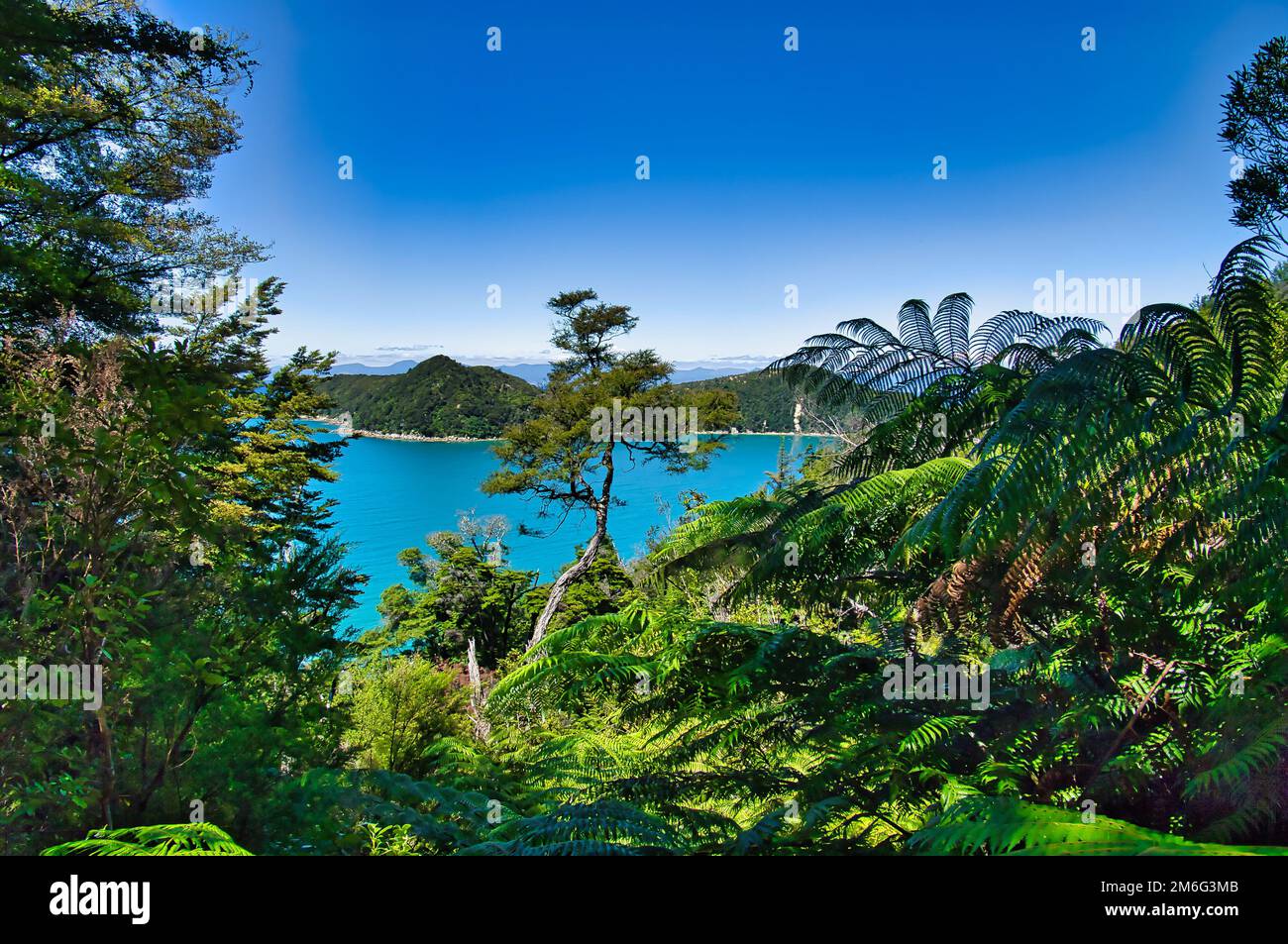 View along the Abel Tasman Coast Track in Abel Tasman National Park ...