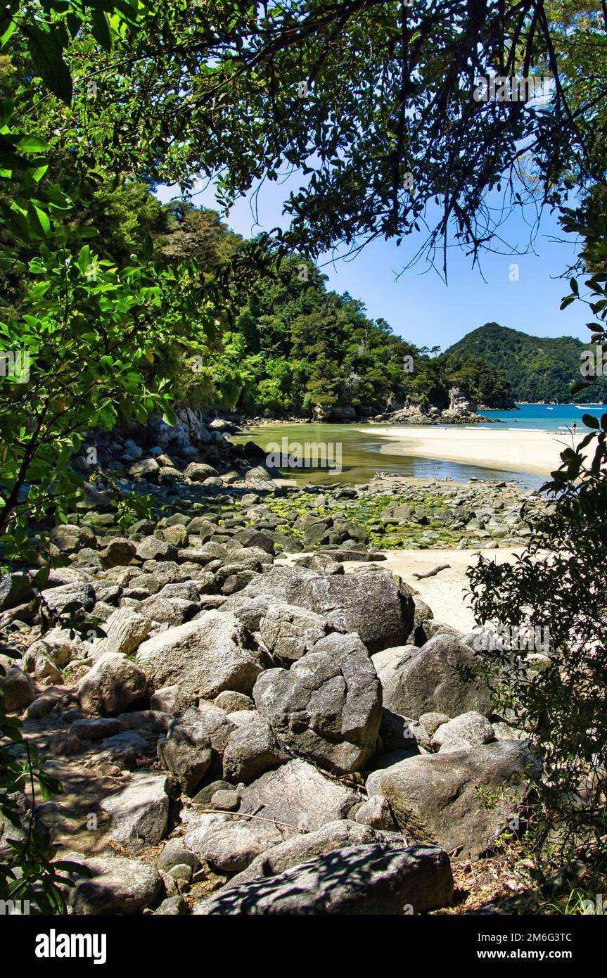 Entrance to the beach at Stilwell Bay, Abel Tasman National Park, South Island, New Zealand ...