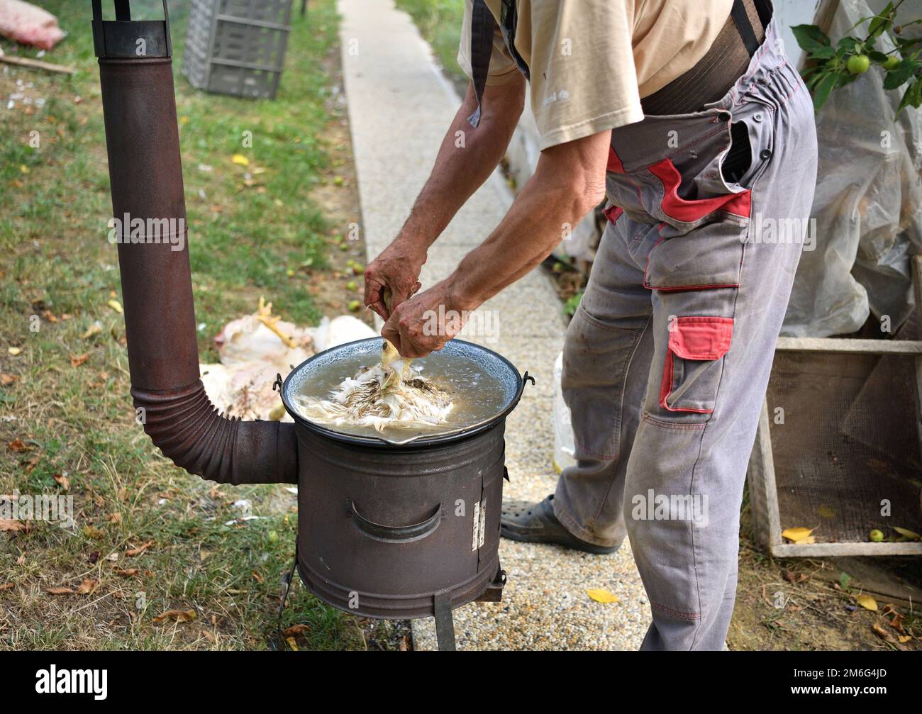 Broiler water hi-res stock photography and images - Alamy