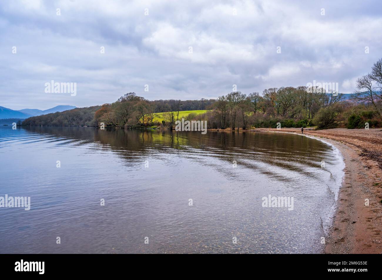Milarrochy Bay on the eastern shore of Loch Lomond, near the village of ...