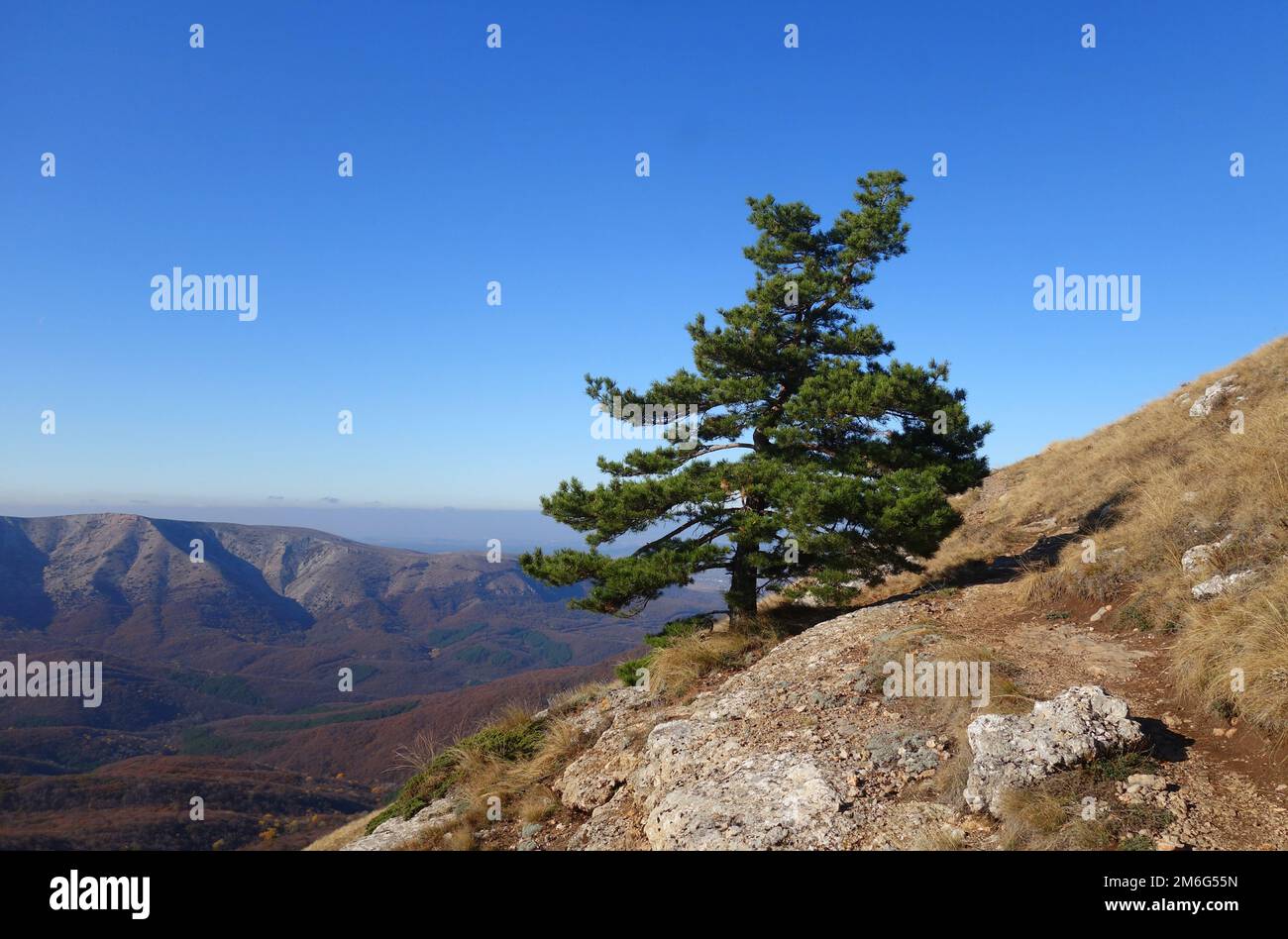 Beautiful nature, warm autumn evening Stock Photo - Alamy