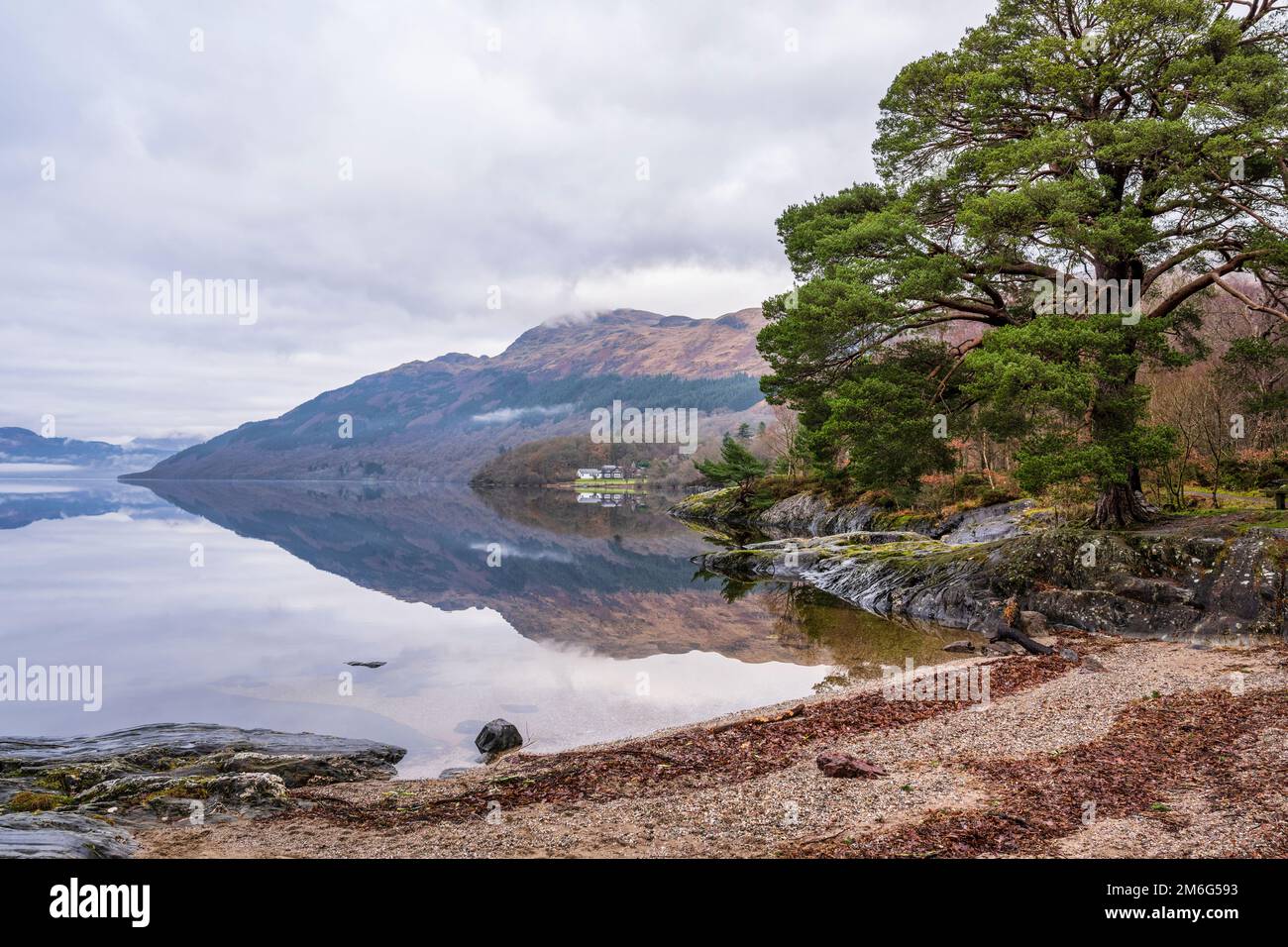 Winter reflections from the beach at Rowardennan on the eastern shore ...