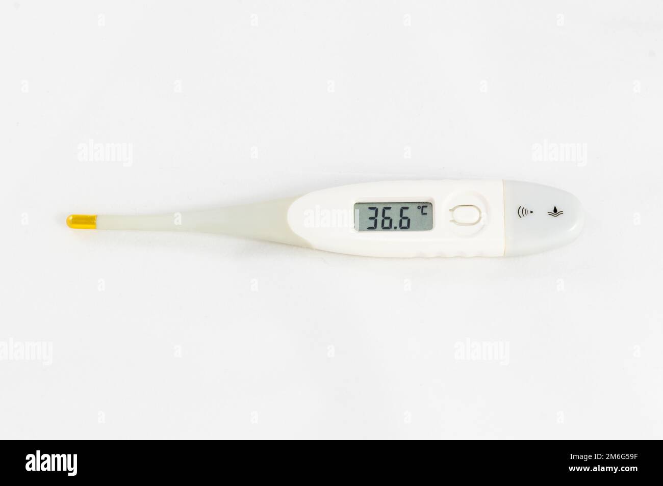 Digital thermometer with gold tip showing the temperature of 36.6 C on ...
