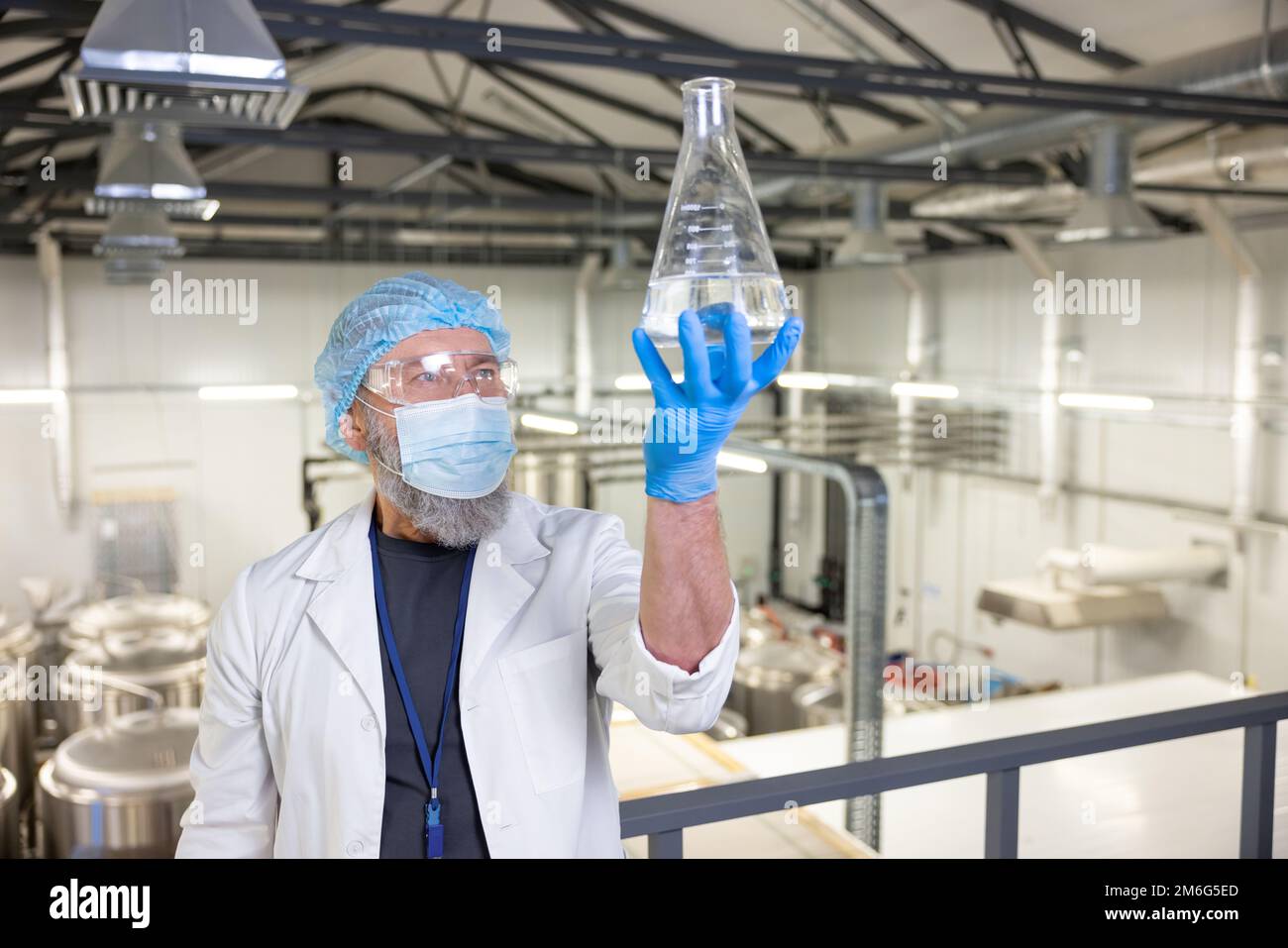 Brewery technologist examining the contents of a graduated vessel Stock ...