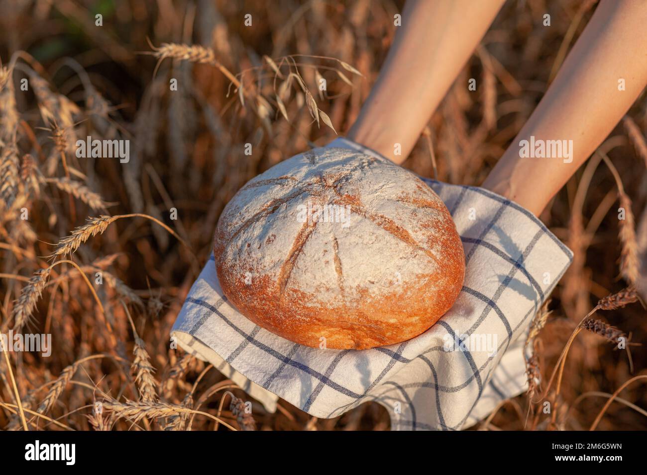 Whole wheat bread woman hi-res stock photography and images - Alamy