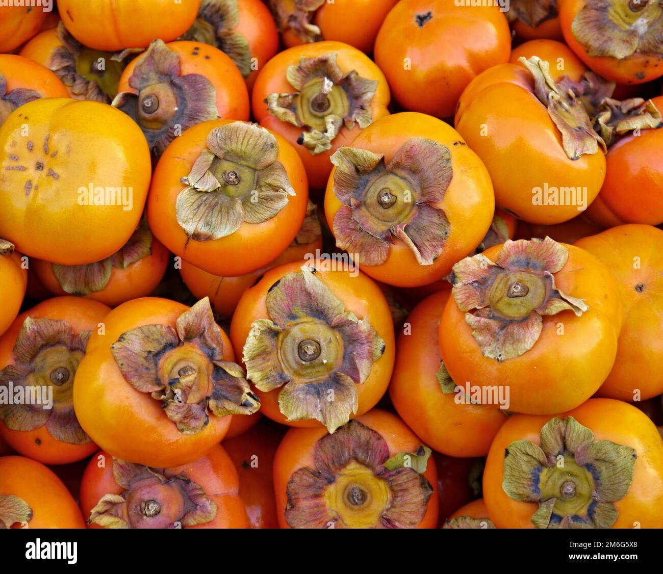 Exotic persimmon fruits from the market Stock Photo - Alamy
