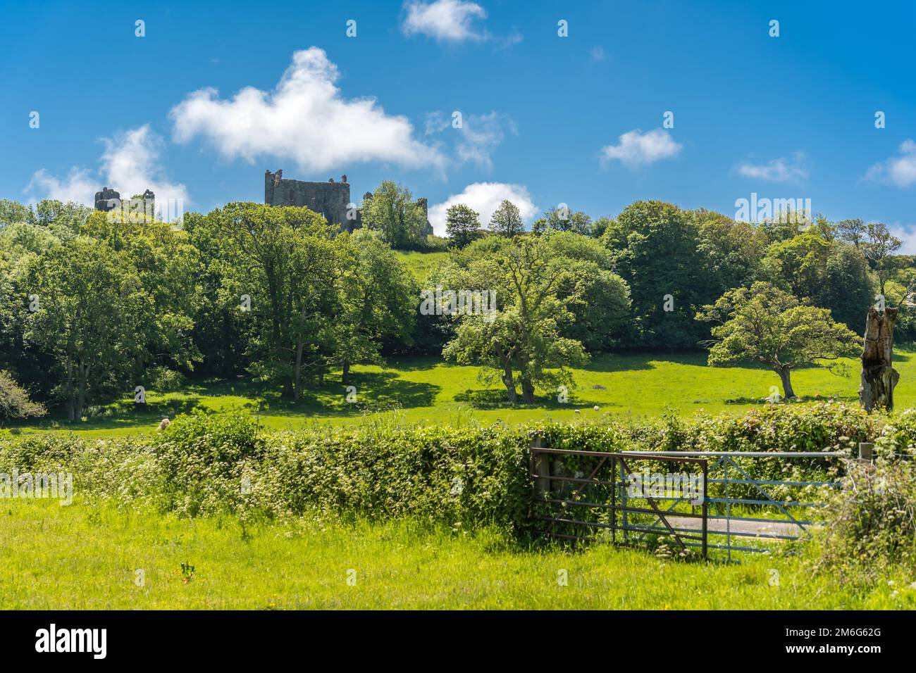 View of a castle, green trees, and fields in the countryside of Wales ...