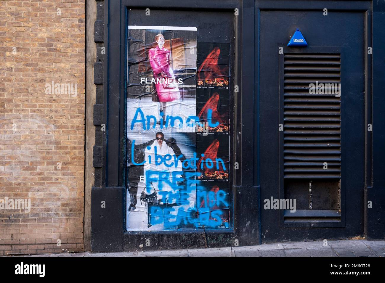 Animal Liberation graffiti, Free the MBR beagles on 8th December 2022 ...