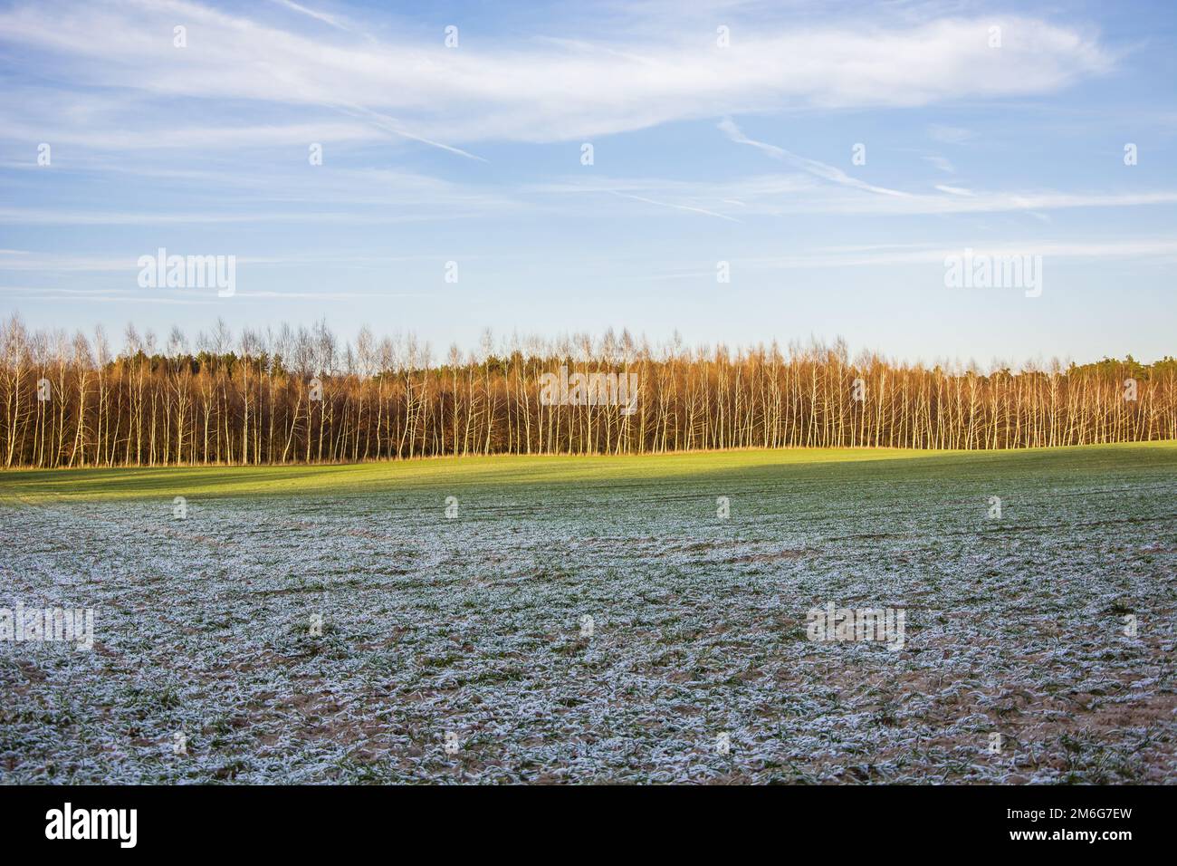 Empty meadow with snow hi-res stock photography and images - Alamy