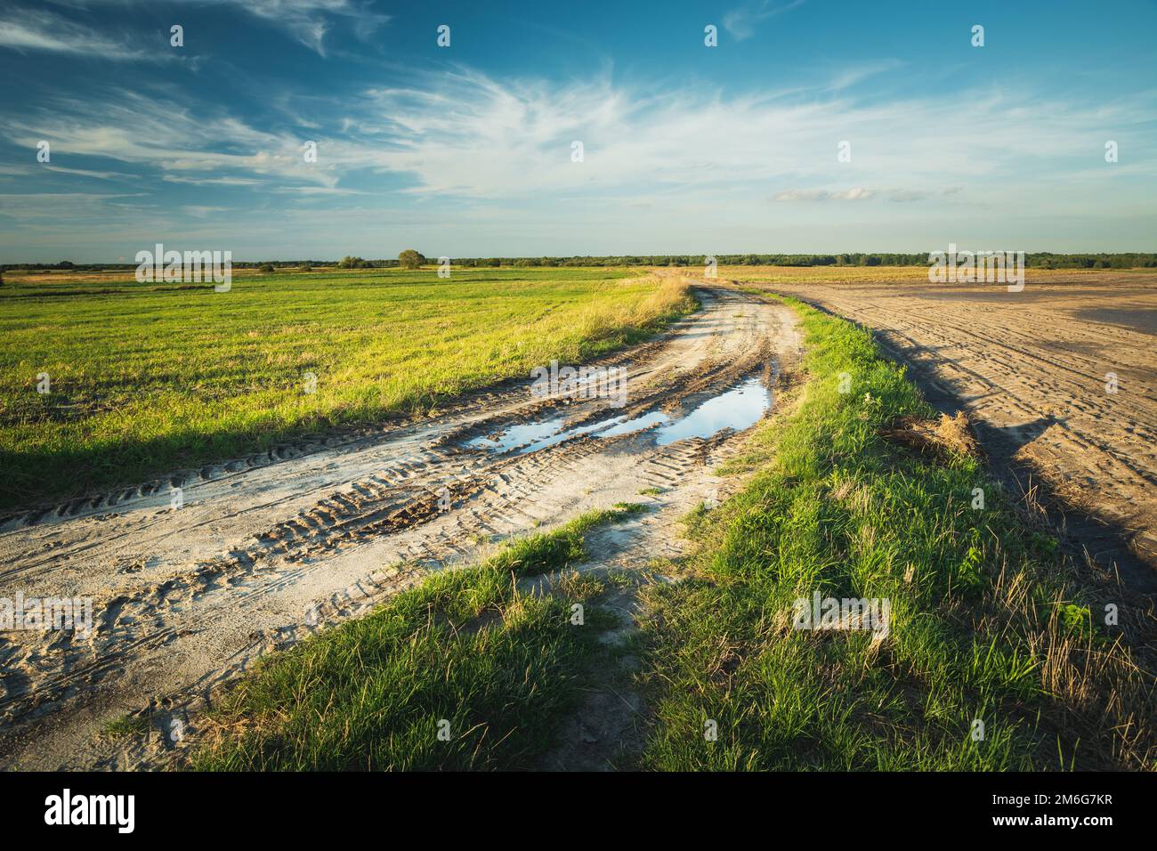 Puddle on dirt road, fields and clouds on the sky Stock Photo - Alamy