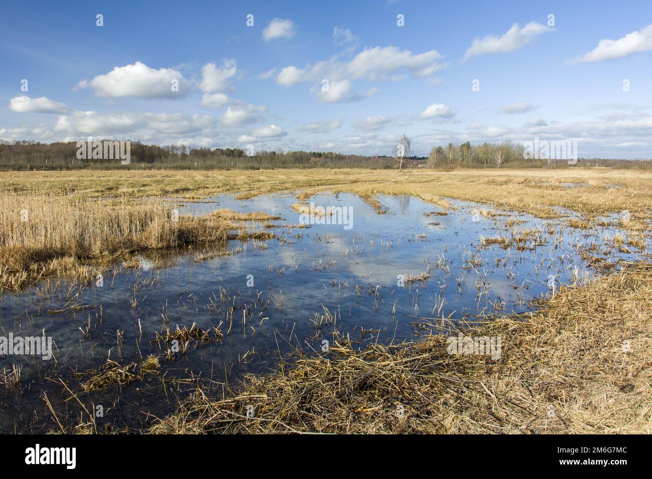 Water frozen sky hi-res stock photography and images - Alamy