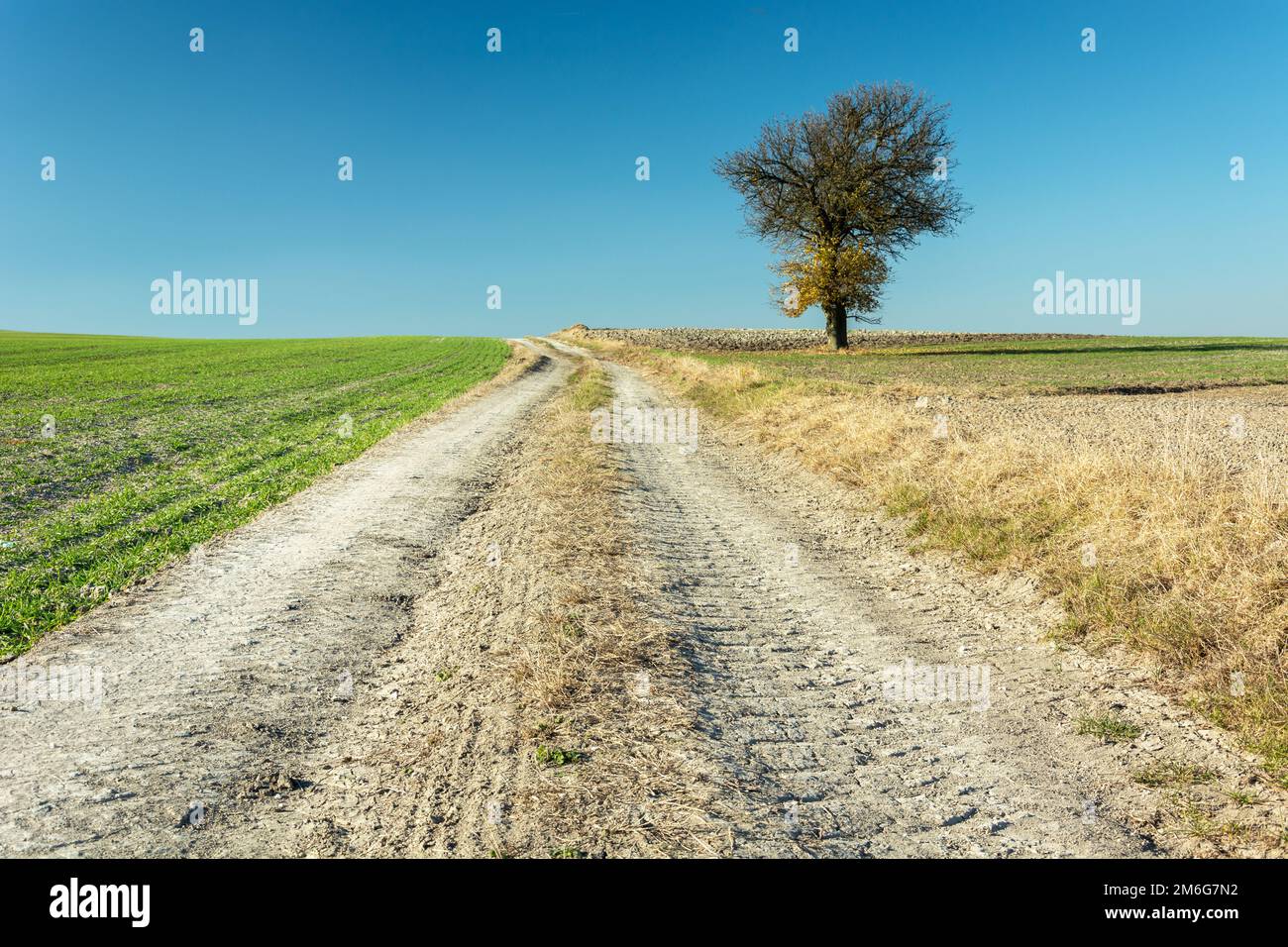 Dirt road through fields hi-res stock photography and images - Alamy
