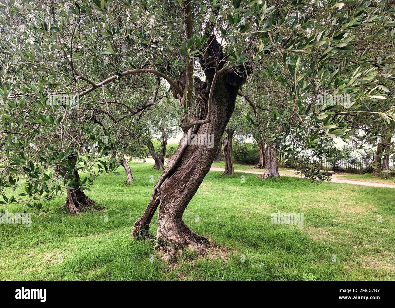 Ruins of roman villa Grottoes of Catullus in sirmione at lake garda in ...