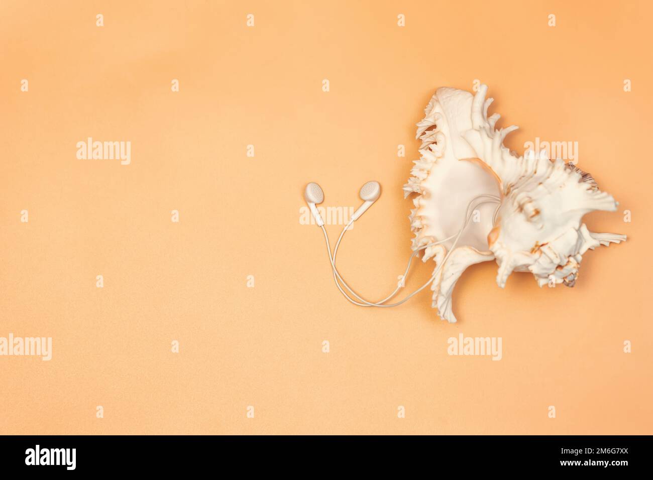 Listen to the music of the sea from the seashell through headphones ...