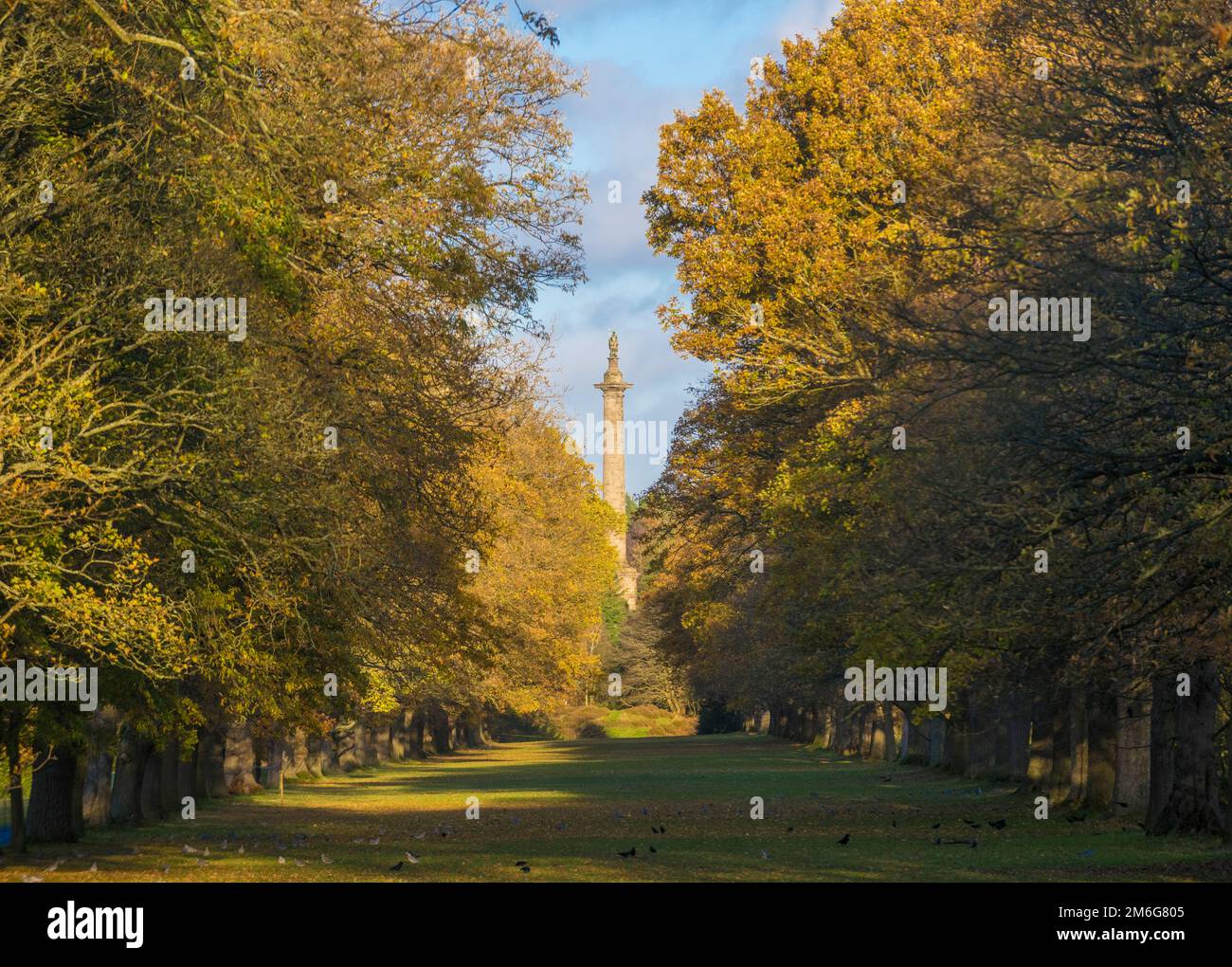 Column to Liberty situated in the parkland of Gibside. Tyne and Wear ...