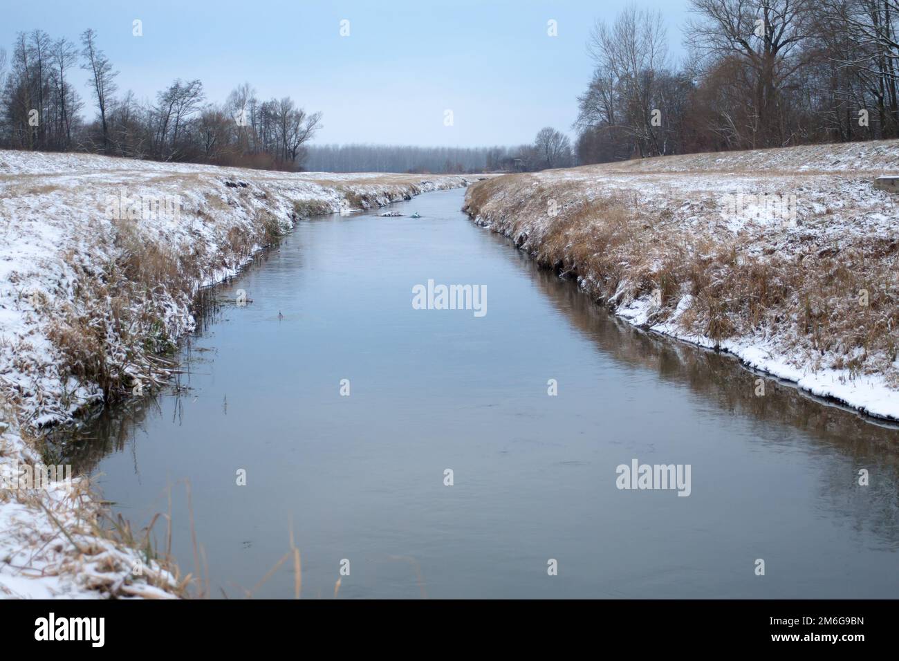 Estonian winter forest hi-res stock photography and images - Alamy