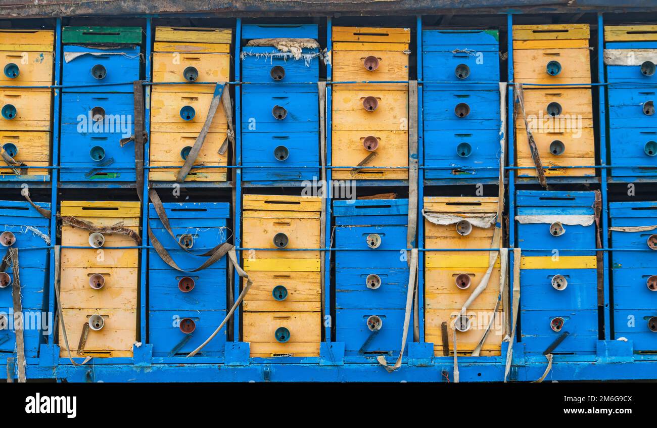 Mobile beehive trailer hi-res stock photography and images - Alamy