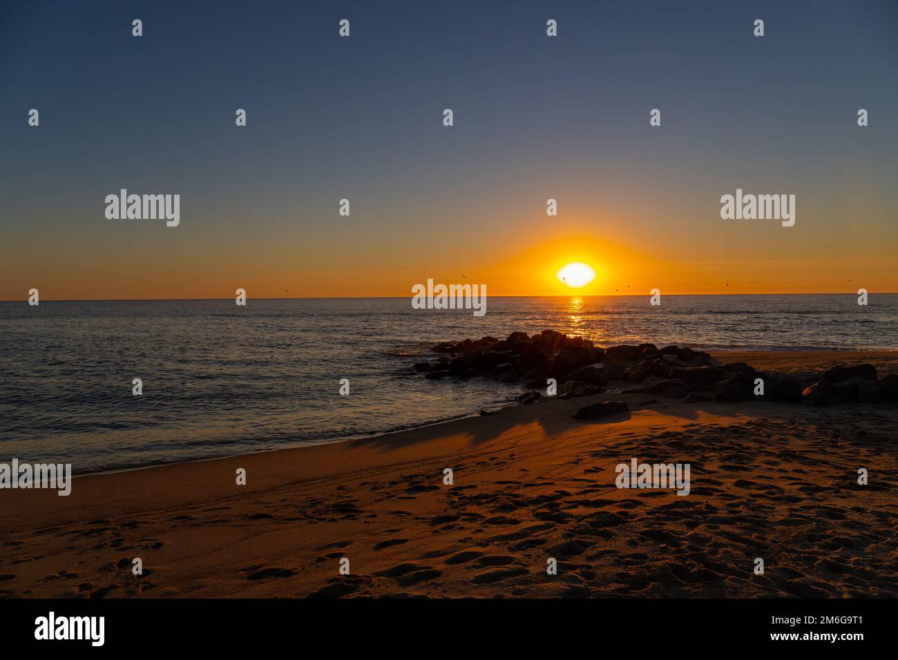 Sunset on the beach, Horizon by the sea, Rocks and birds. High quality ...