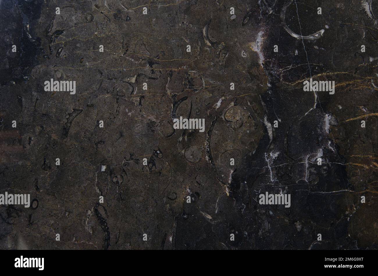 Marmo oro hi-res stock photography and images - Alamy