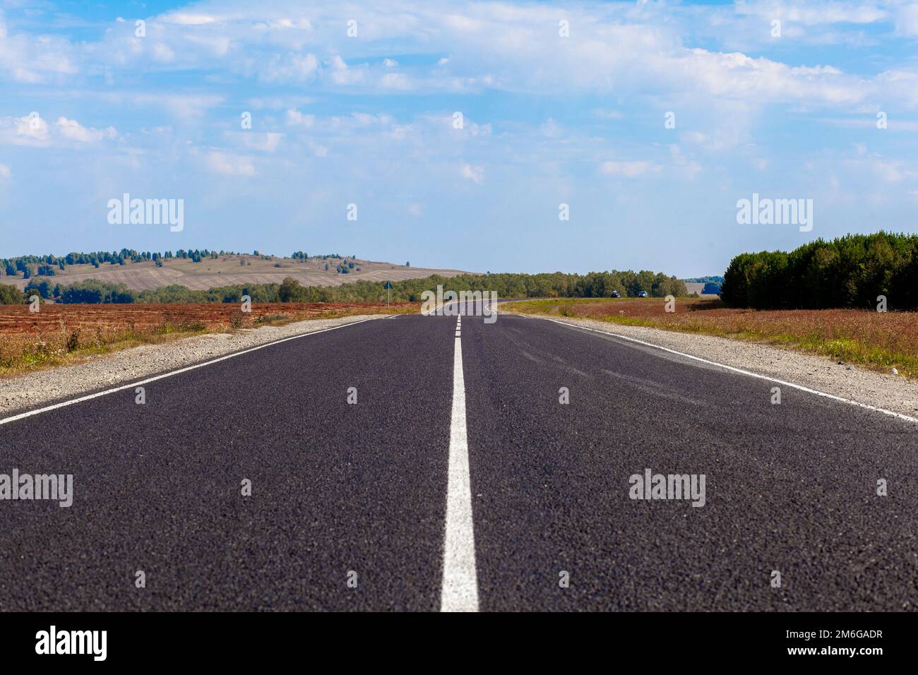 Straight paved road with markings, going into the distance through ...