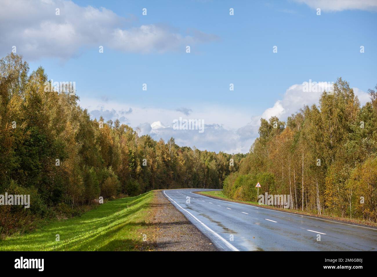 Straight paved road with markings, going into the distance through ...