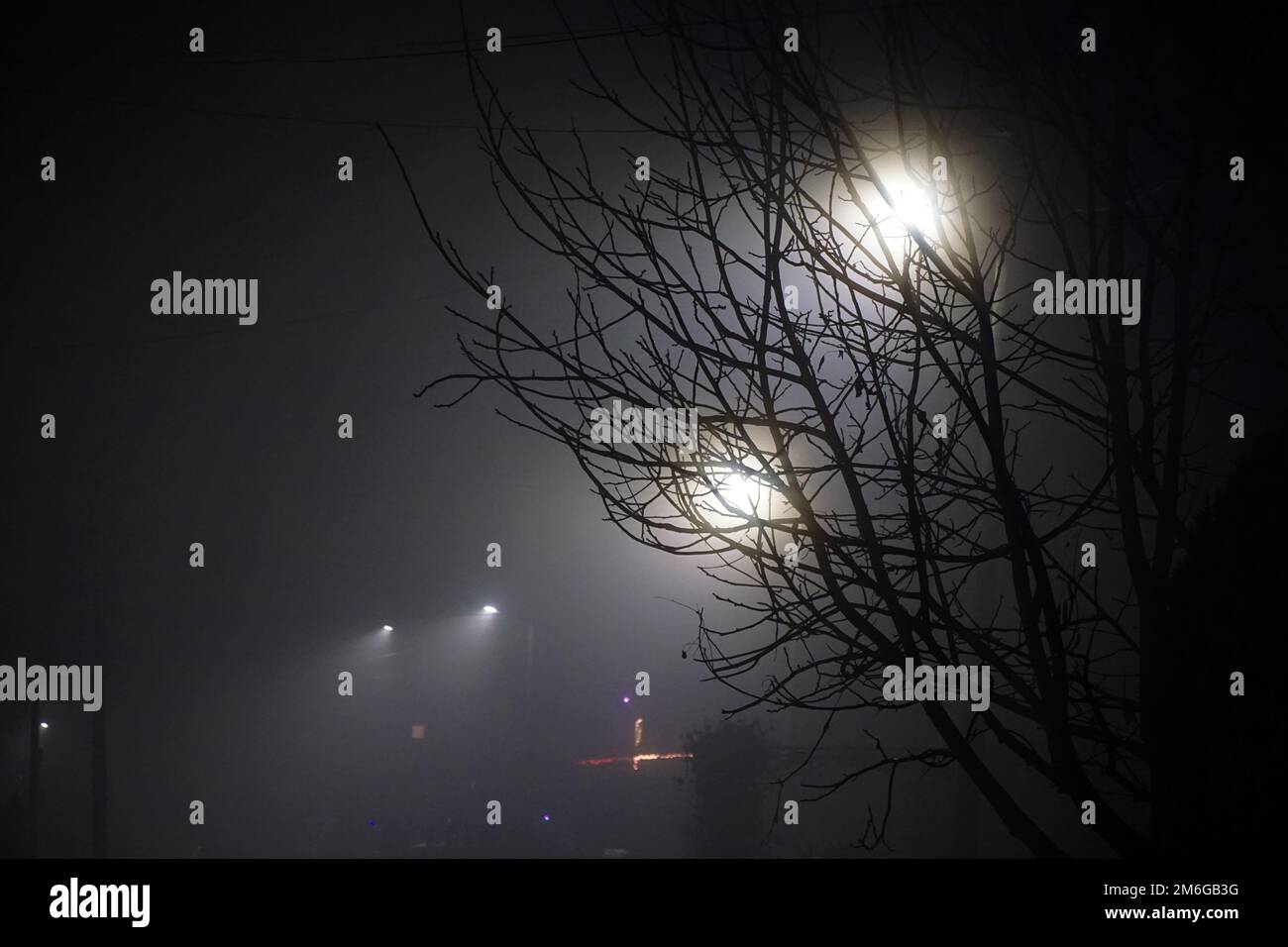 fog on street lights in the night. , winter trees, , fog, smoke ...