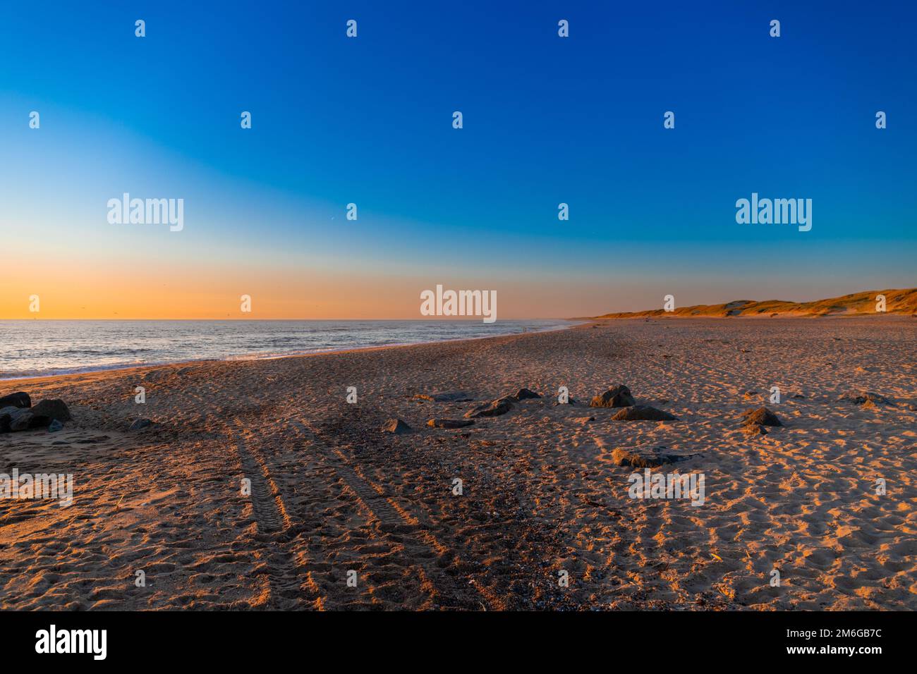 Sunset on the beach, Horizon by the sea, Rocks and birds Stock Photo ...