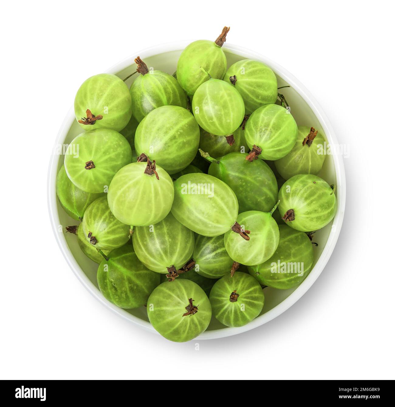 View top gooseberry plant in hi-res stock photography and images - Alamy