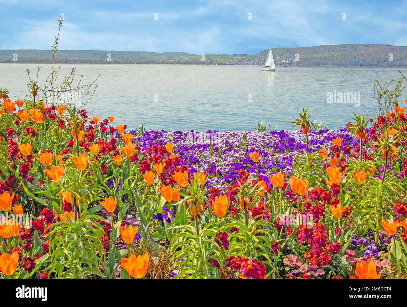 Constance lily hi-res stock photography and images - Alamy