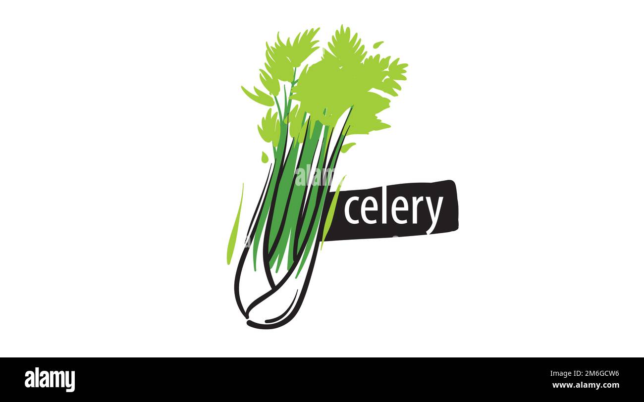 Object on white celery Stock Vector Images - Alamy