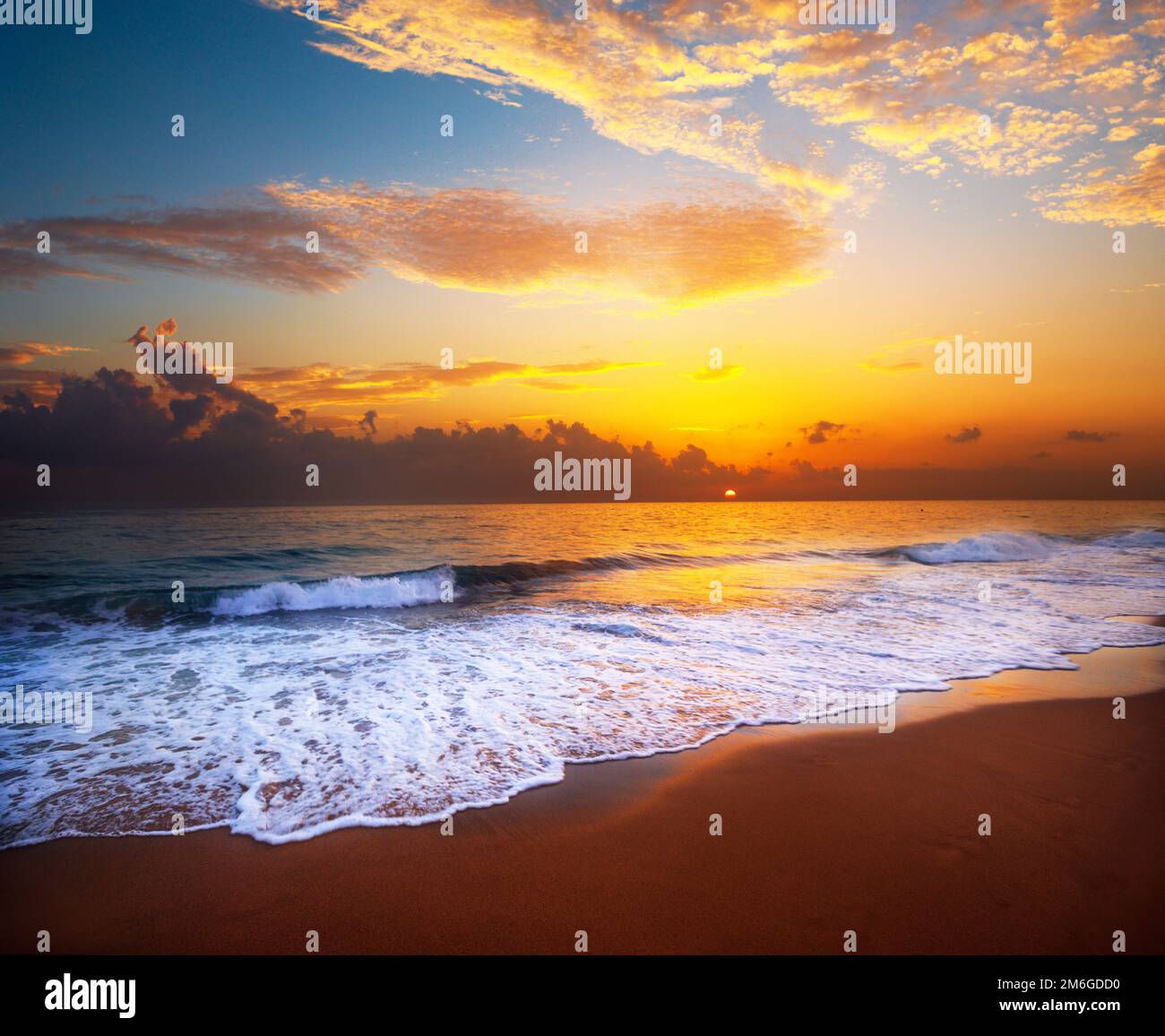 Beautiful orange color tropical hi-res stock photography and images - Alamy