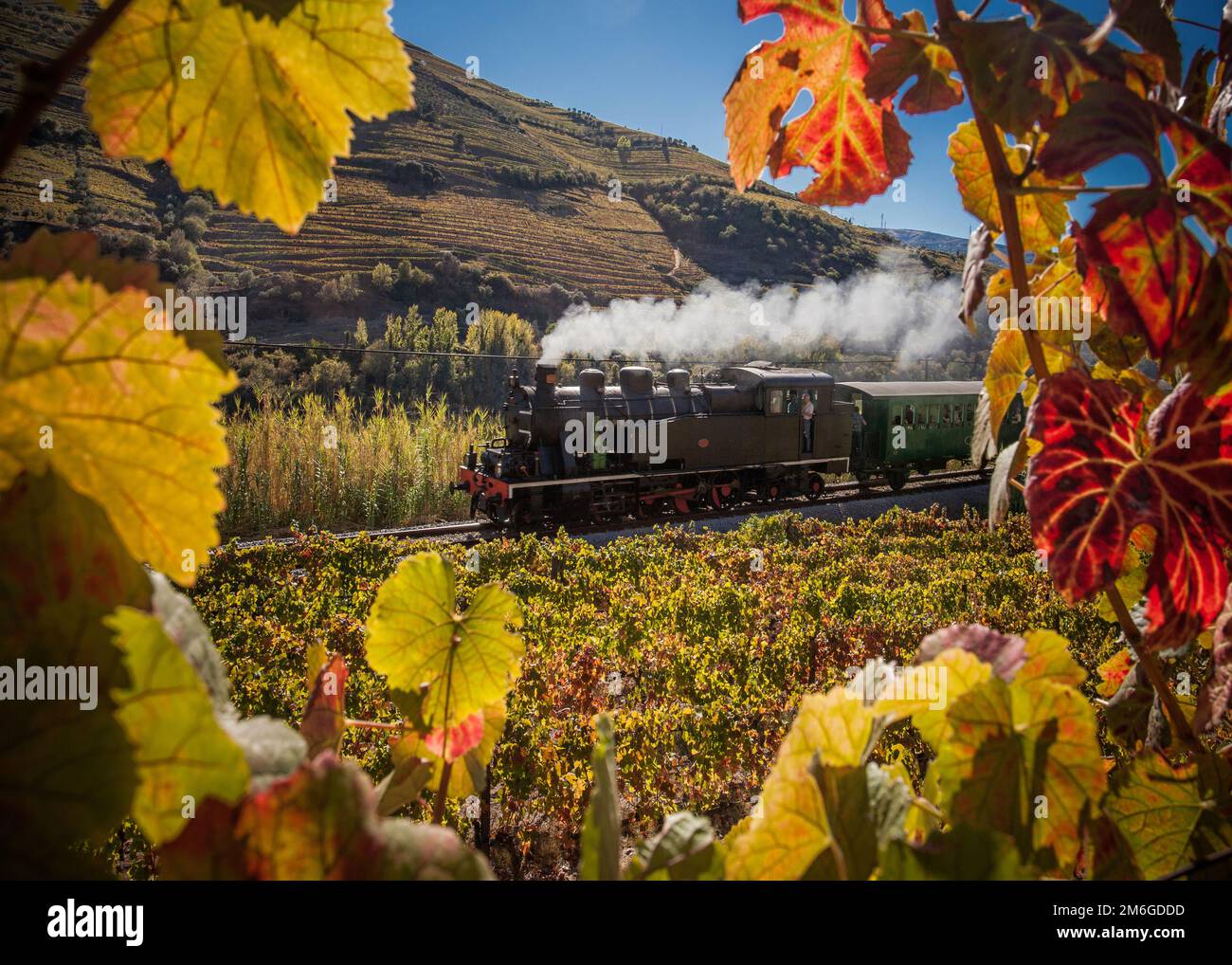 Historic steam locomotive in the Douro Valley - Portugal Stock Photo ...