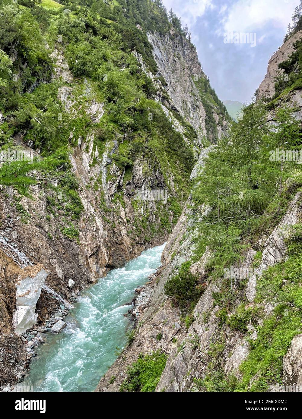 Green scenery tree near river hi-res stock photography and images - Alamy