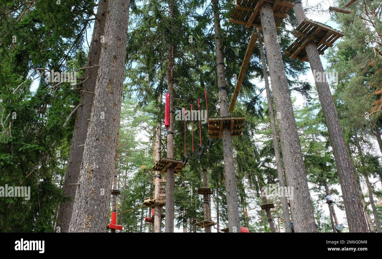 Climbing parcours high in the trees in austria Stock Photo - Alamy