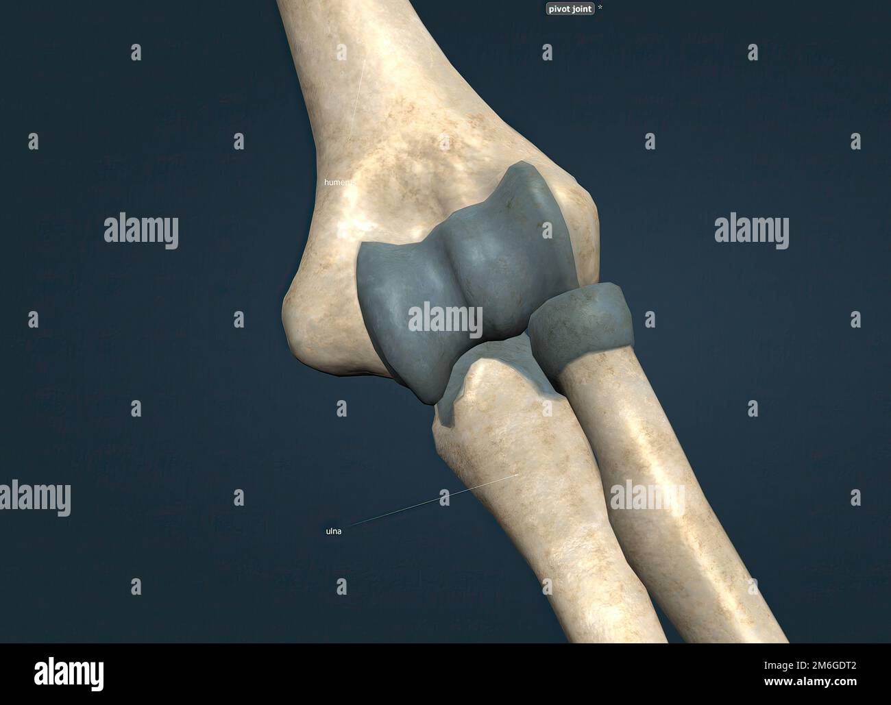 Gliding joint hi-res stock photography and images - Alamy