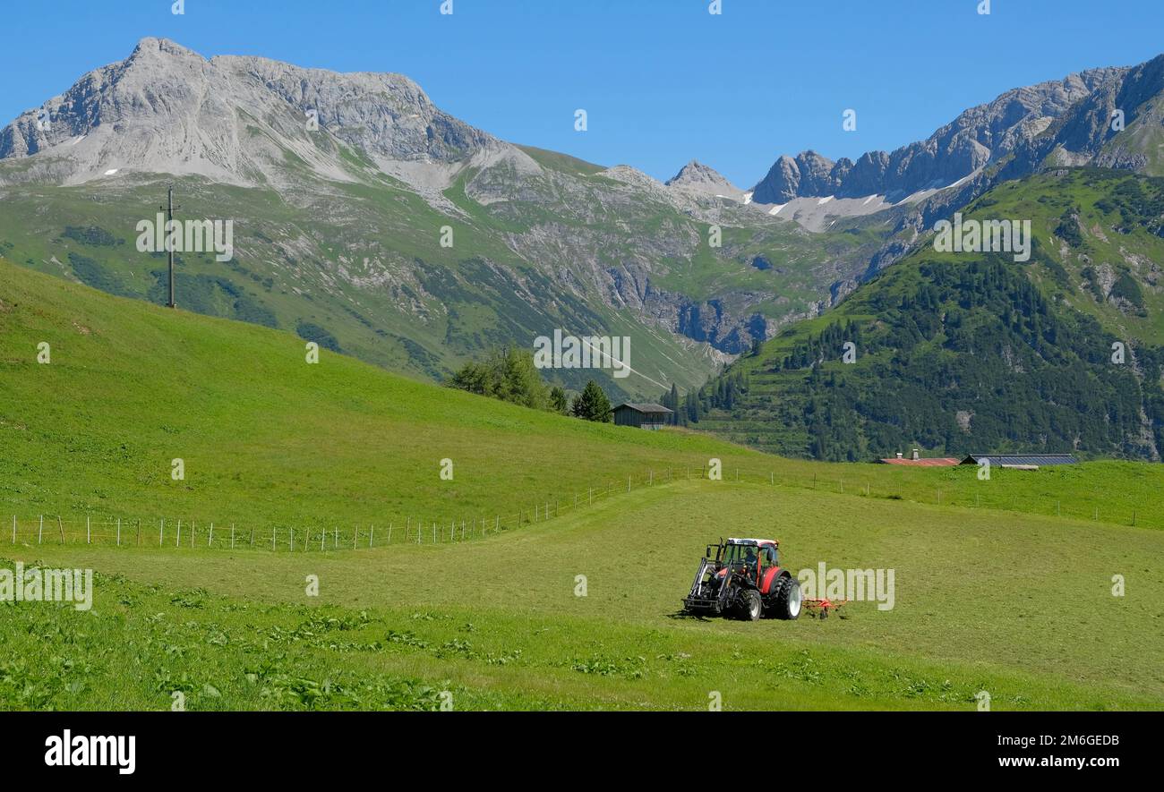 A tractor working in the fields high in the mountains Stock Photo - Alamy