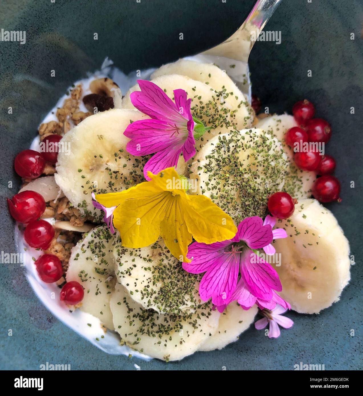 Organic food with wild picked flowers herbs cheese Stock Photo - Alamy