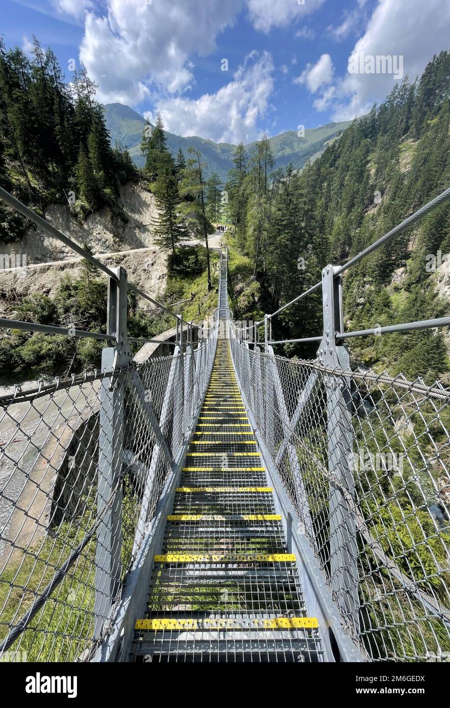 Suspension bridge between the trees in the alps mountains in Kals am ...
