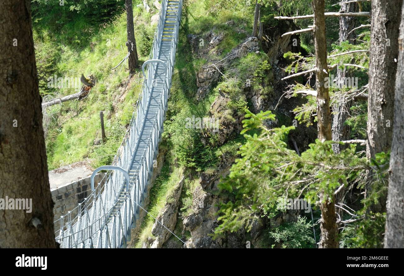 Suspension bridge between the trees in the alps mountains in Kals am ...