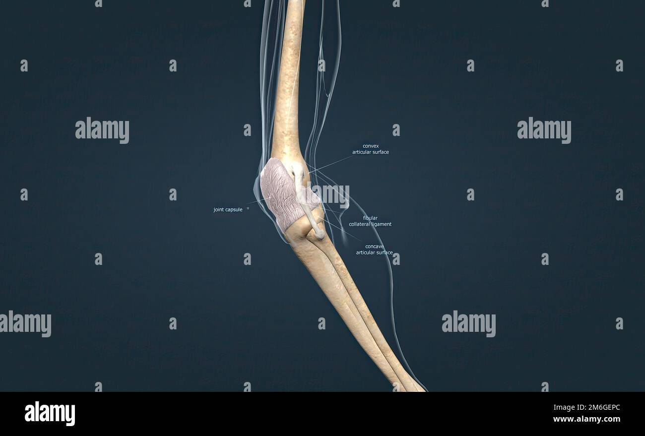 Socket fusion hi-res stock photography and images - Alamy