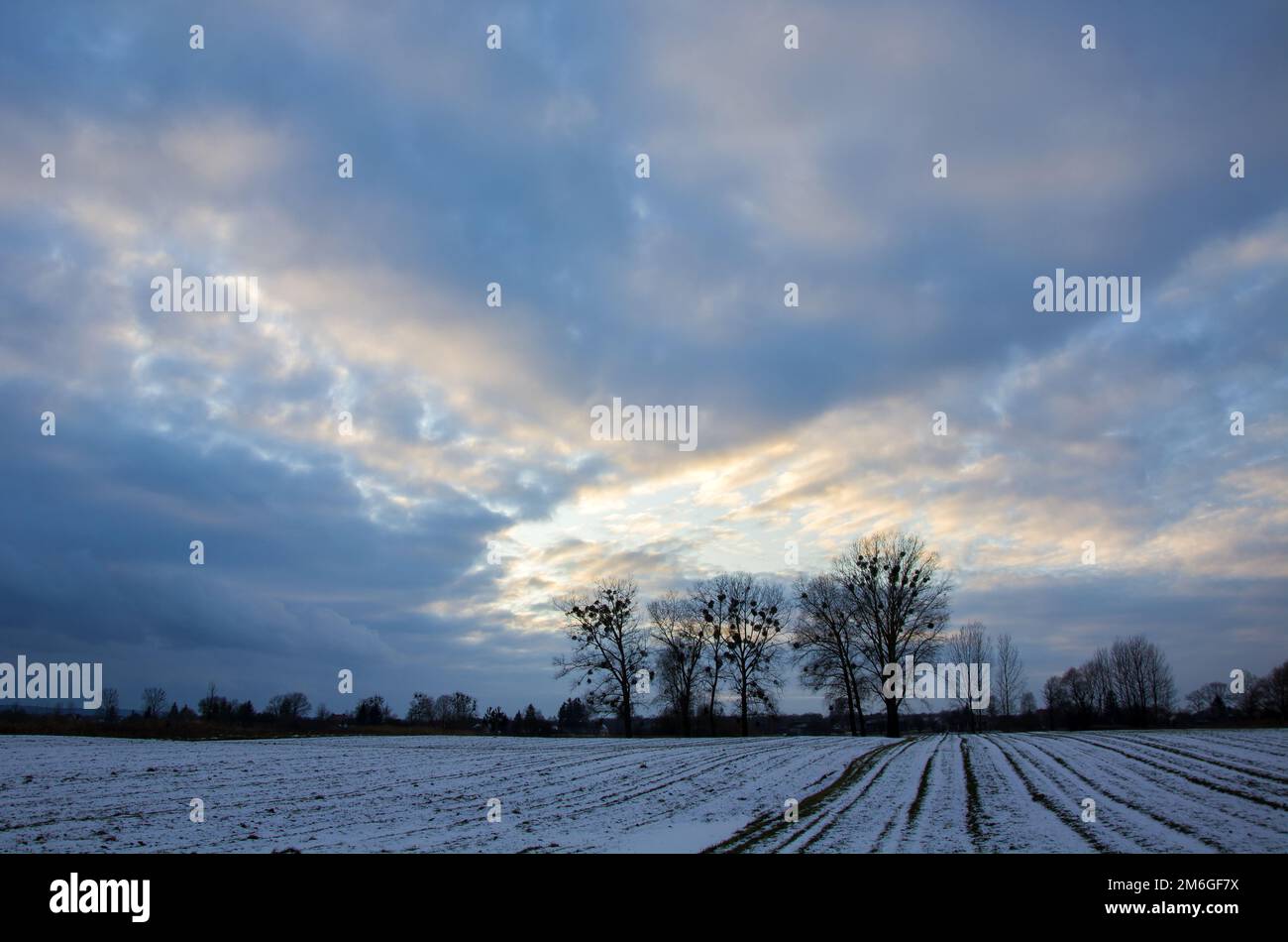 Snow on the field with trees and a landscape of clouds Stock Photo - Alamy