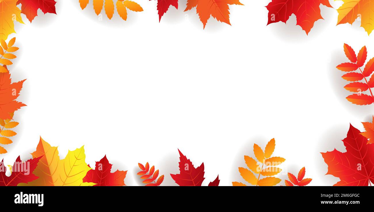 Beautiful floral border leaves hi-res stock photography and images - Alamy