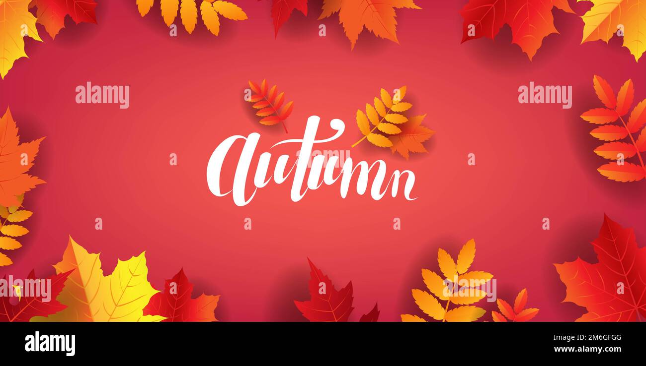 Autumn Poster With Lettering Text With Leaves Stock Photo - Alamy