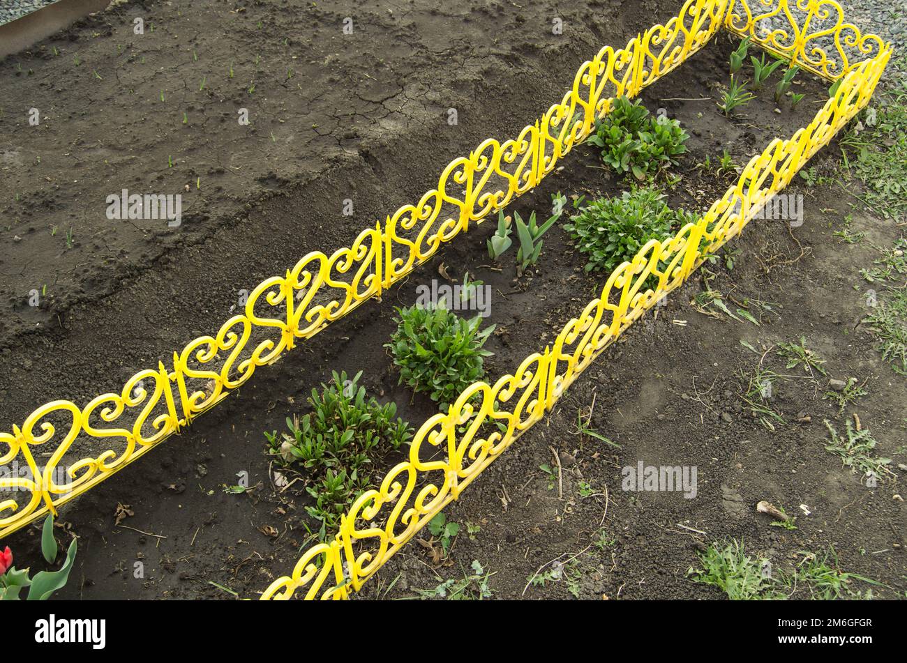 Yellow plastic fence around a flower bed. Garden decoration in early ...