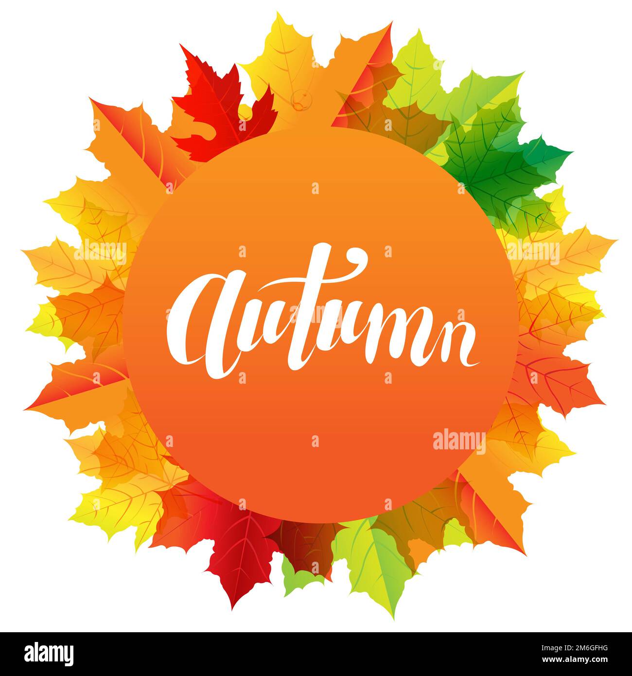 Autumn composition With Speech Bubble And Text Stock Photo - Alamy