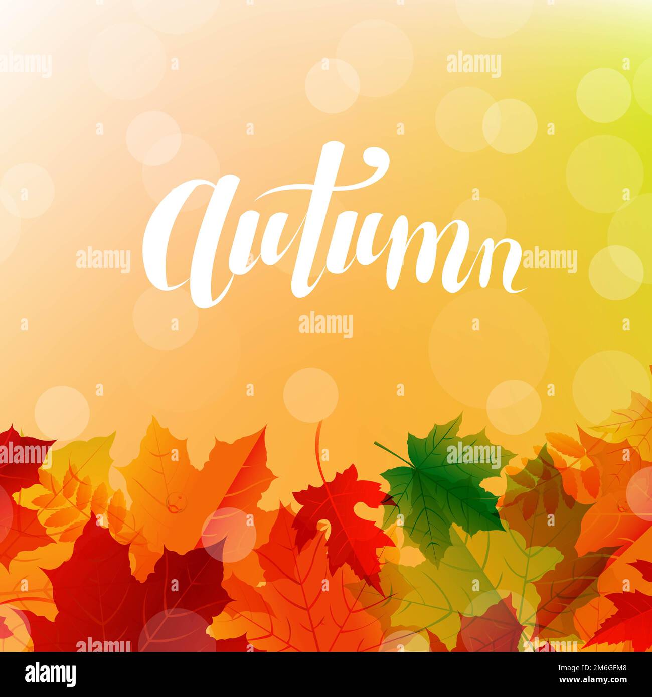 Autumn Postcard With Bright Leaves Stock Photo - Alamy