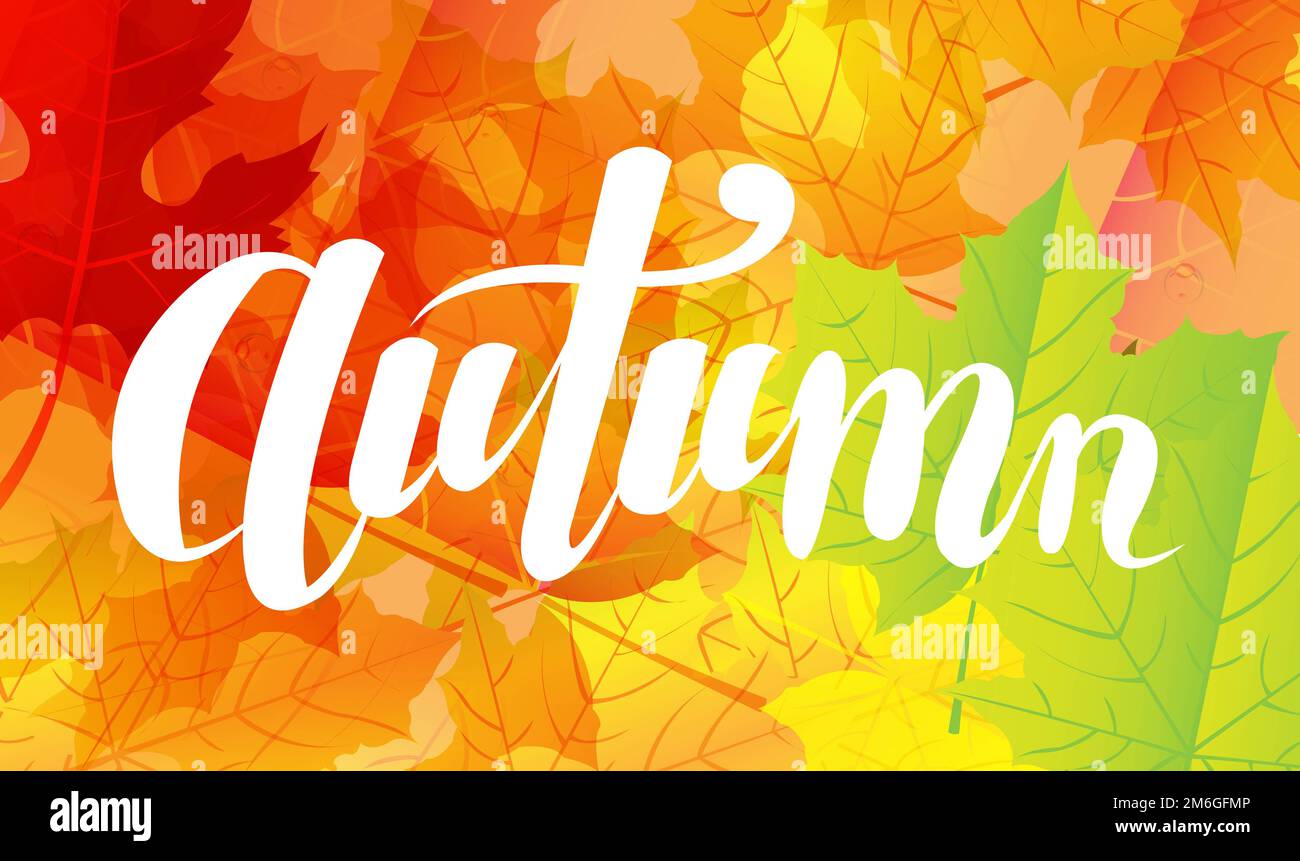 Autumn Lettering Text With Leaves Stock Photo - Alamy