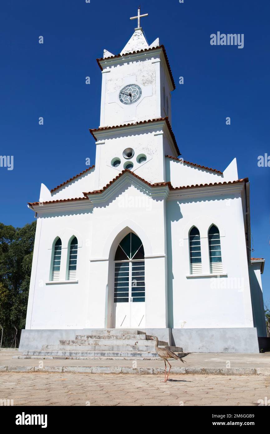 Red-legged Seriema, Sao Joao do barreiro, Serra da Canastra, MG, Brazil ...
