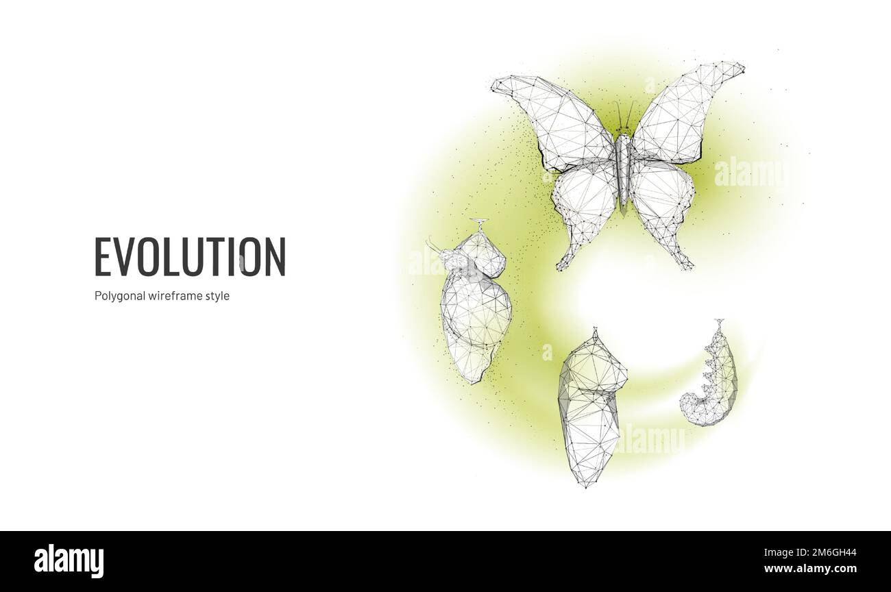 Transformation in progress Stock Vector Images - Alamy